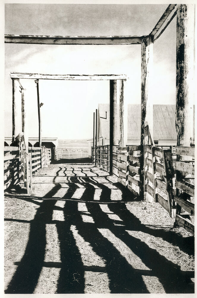 Corralled Shadows | Oehme Graphics