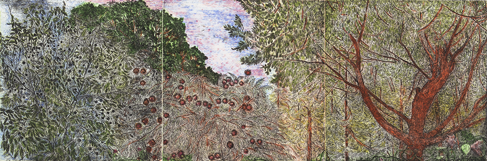 Among Trees | Oehme Graphics